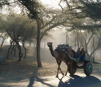 Sikar, India - Sikar Tourism | Sikar Travel Guide - Yatra.com