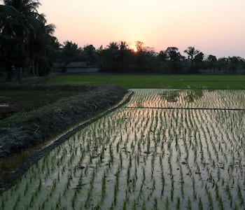 Malda, India - Malda Tourism | Malda Travel Guide - Yatra.com