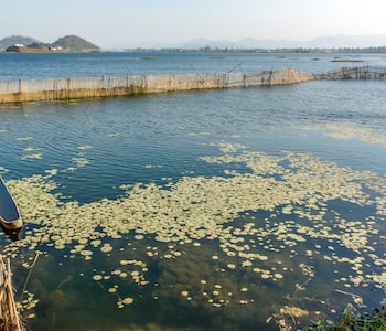 Imphal, India - Imphal Tourism | Imphal Travel Guide - Yatra.com