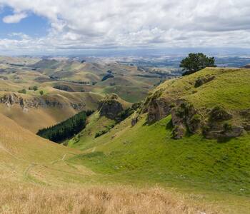Napier Guide - Napier Tourism | Napier Travel Guide - Yatra.com