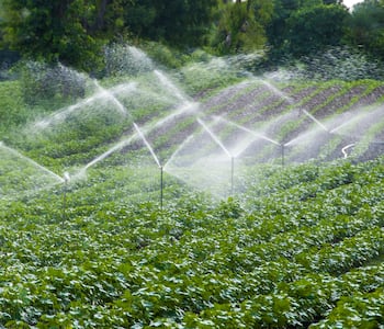 Latur, India - Latur Tourism | Latur Travel Guide - Yatra.com