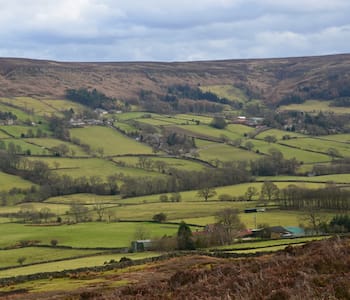 York Guide - York Tourism | York Travel Guide - Yatra.com