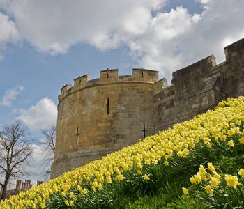 York Guide - York Tourism | York Travel Guide - Yatra.com