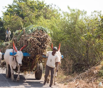 People of Satara, Information About People and Lifestyle in Satara ...