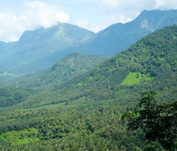 Best Time to Visit Wayanad in 2022- Best Season to Visit Wayanad ...