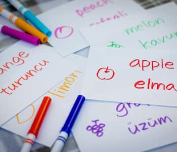 Languages of Istanbul, Popular Local Spoken Languages of Istanbul ...