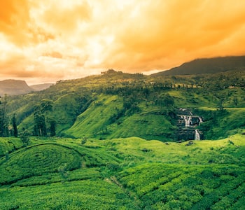 Kandy Guide - Kandy Tourism | Kandy Travel Guide - Yatra.com