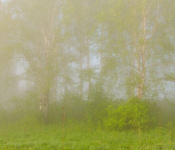 Places to Visit in Moga - Most Famous Moga Places to Visit - Yatra