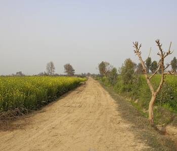 Moga, India - Moga Tourism | Moga Travel Guide - Yatra.com