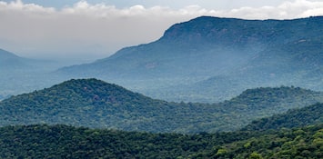 Kottachedu Teak Forest - One of the Top Attractions in Yercaud, India ...