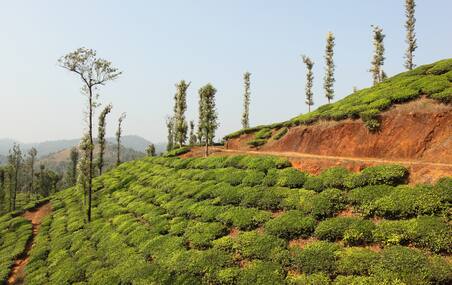 Lakkidi View Point - One of the Top Attractions in Wayanad, India ...