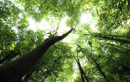 Nikku Park - One of the Top Attractions in Jalandhar, India - Yatra.com