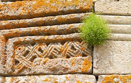 Revisit History At Phillaur Fort in Ludhiana - Every Detail You Need to ...