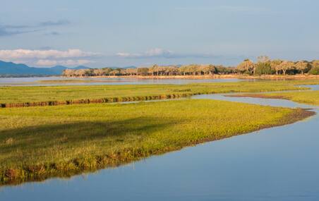 Manas River Bank - One of the Top Attractions in Manas, India - Yatra.com