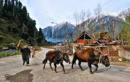 Betaab Valley - One of the Top Attractions in Pahalgam, India - Yatra.com