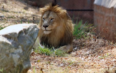 Bir Moti Bagh Wildlife Sanctuary - One of the Top Attractions in ...