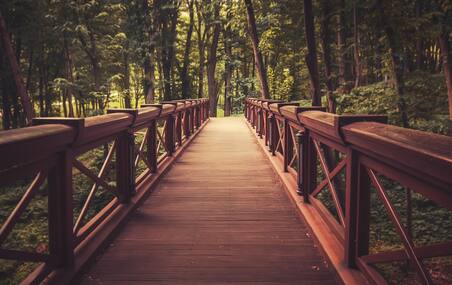 Walk Along The Gilbert Trail in Kasauli - Every Detail You Need to Know ...