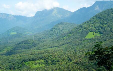 Neelimala Viewpoint - One of the Top Attractions in Wayanad, India ...