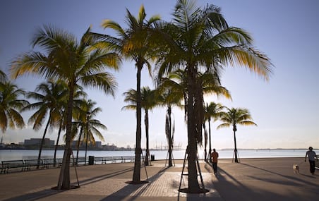 Bayfront Park - One of the Top Attractions in Miami, USA - Yatra.com