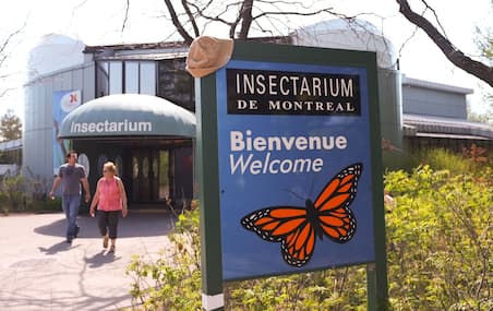 Montreal Insectarium - One of the Top Attractions in Montreal, Canada ...