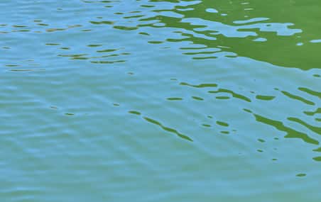 Singanallur Lake - One of the Top Attractions in Coimbatore, India ...