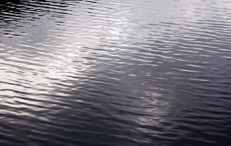 Ramgarh Tal - One of the Top Attractions in Gorakhpur, India - Yatra.com