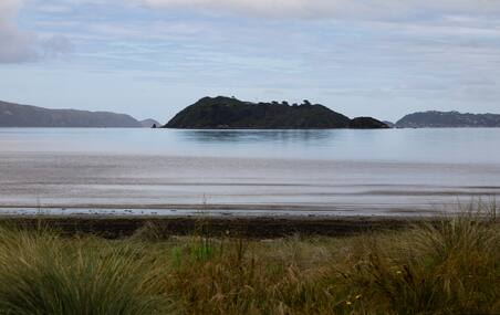 Matiu Island - One of the Top Attractions in Wellington, New Zealand ...