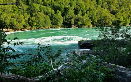 Niagara Glen Nature Reserve - One of the Top Attractions in Niagara ...