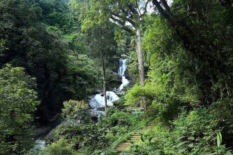 12 Coorg Tour Packages Starting @ ₹14,990 in 2025