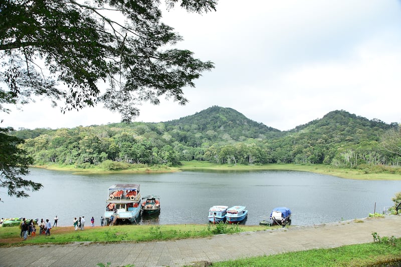 41 Thekkady Tour Packages, Thekkady Holiday Packages Starting @ ₹11,690