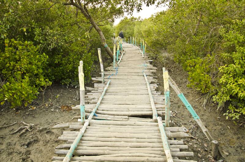 Bakkhali Tour Packages , get upto 30% Off on Bakkhali Packages Booking ...