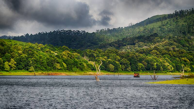 41 Thekkady Tour Packages, Thekkady Holiday Packages Starting @ ₹11,690