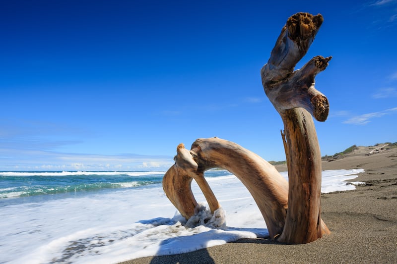 12 Things To Do In Fiji For An Awesome Holiday