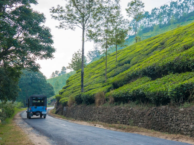 Why The Lockhart Tea Museum In Munnar Is A Must-Visit For A Tea Lover