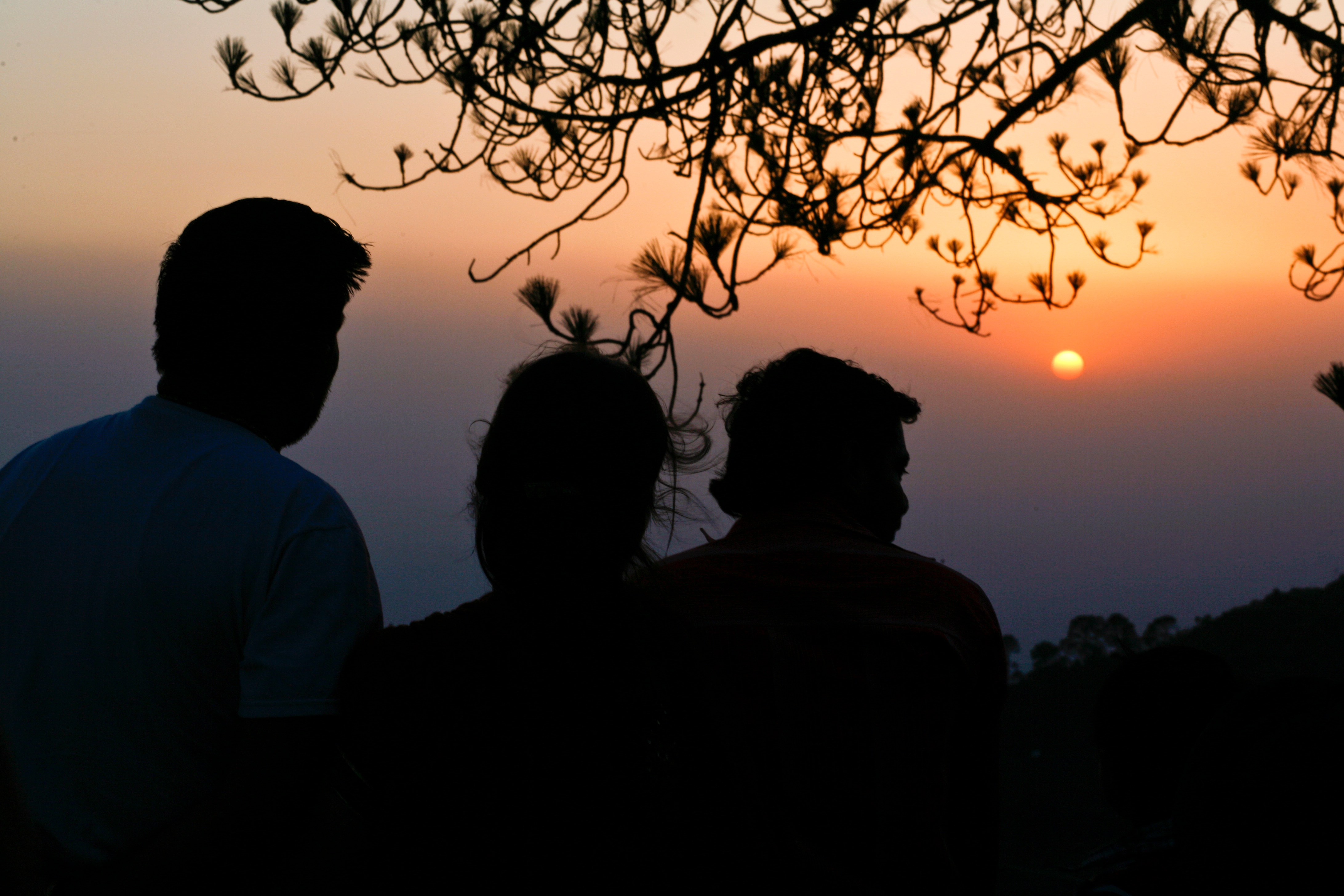Manki Point - One of the Top Attractions in Kasauli, India - Yatra.com