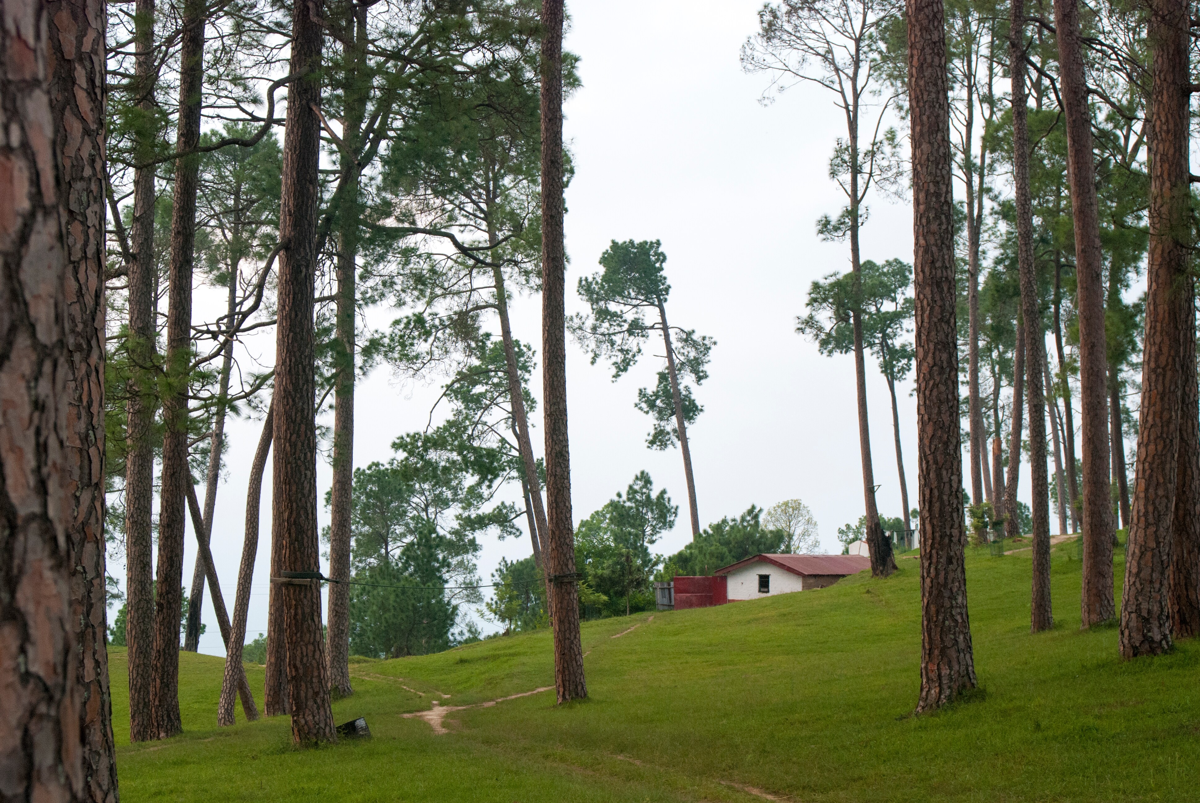 Ranikhet, India - Ranikhet Tourism | Ranikhet Travel Guide - Yatra.com