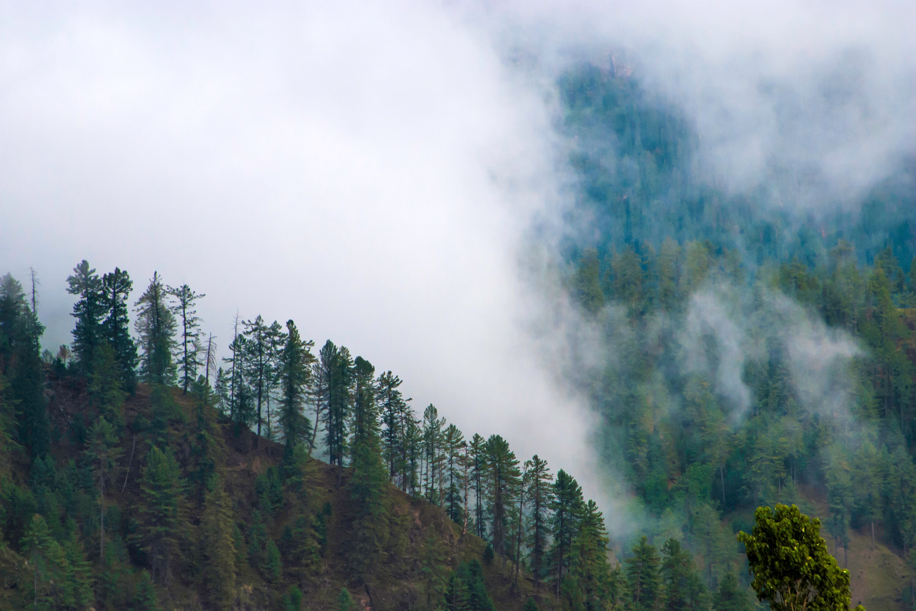 Places to Visit in Narkanda - Most Famous Narkanda Places to Visit - Yatra