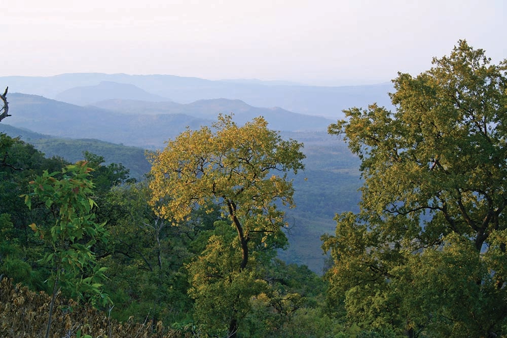 Things to Do in Pachmarhi - Most Popular Pachmarhi Things to Do - Yatra.com