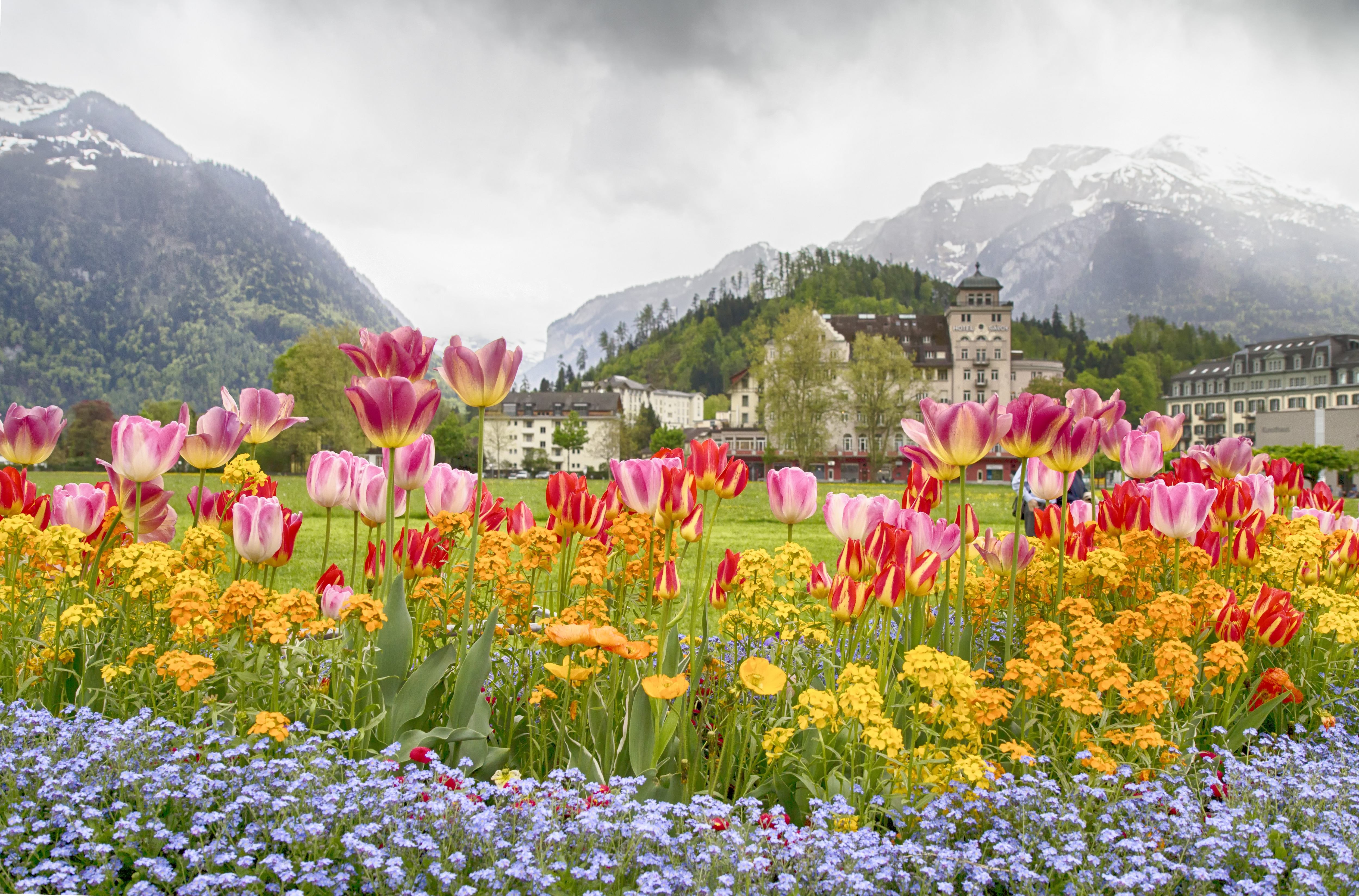 Places to Visit in Interlaken - Most Famous Interlaken Places to Visit ...