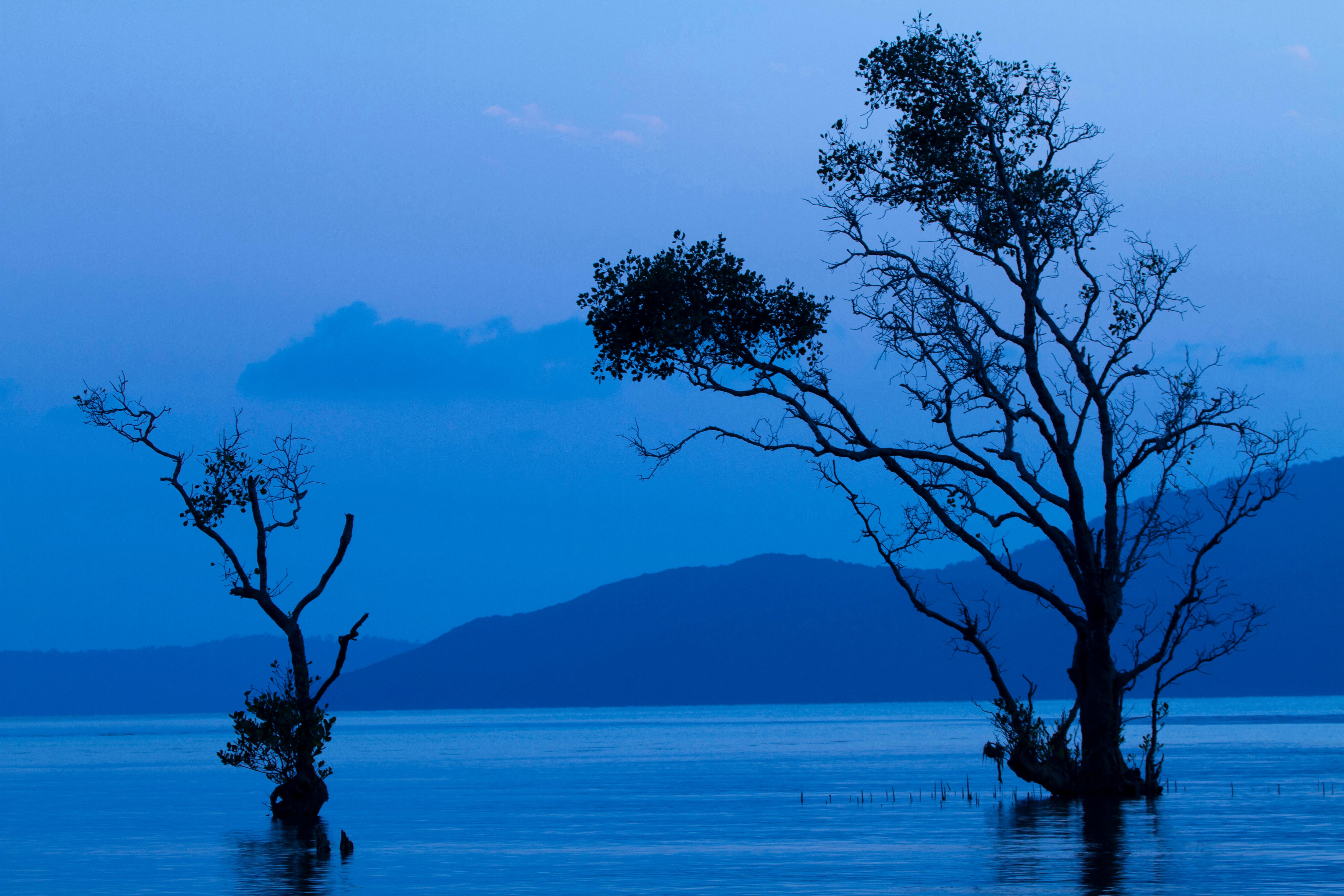 Chidiya Tapu - One of the Top Attractions in Port Blair, India - Yatra.com