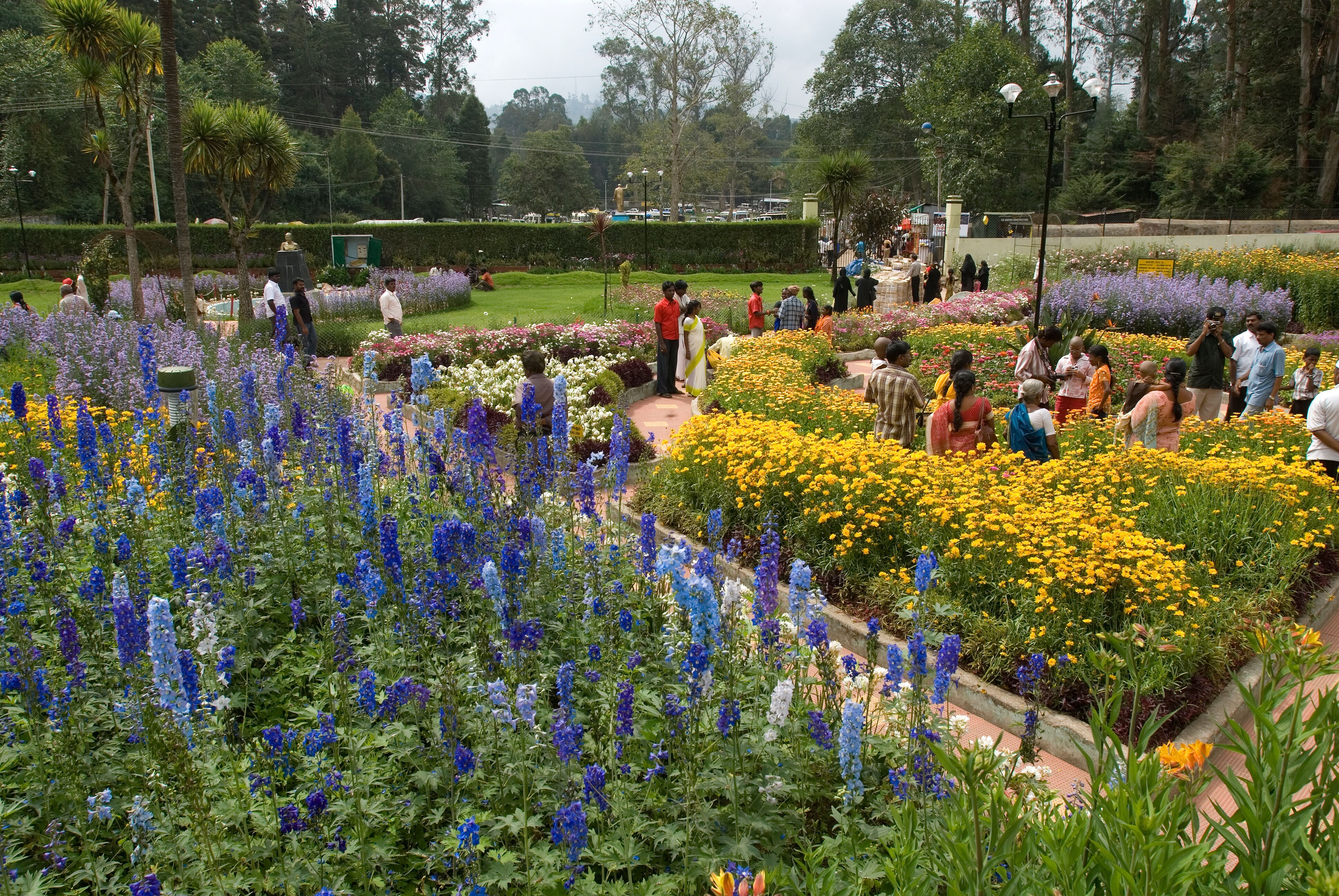 India Tour Packages - HeyGoTrip: Places to visit in Kodaikanal with ...