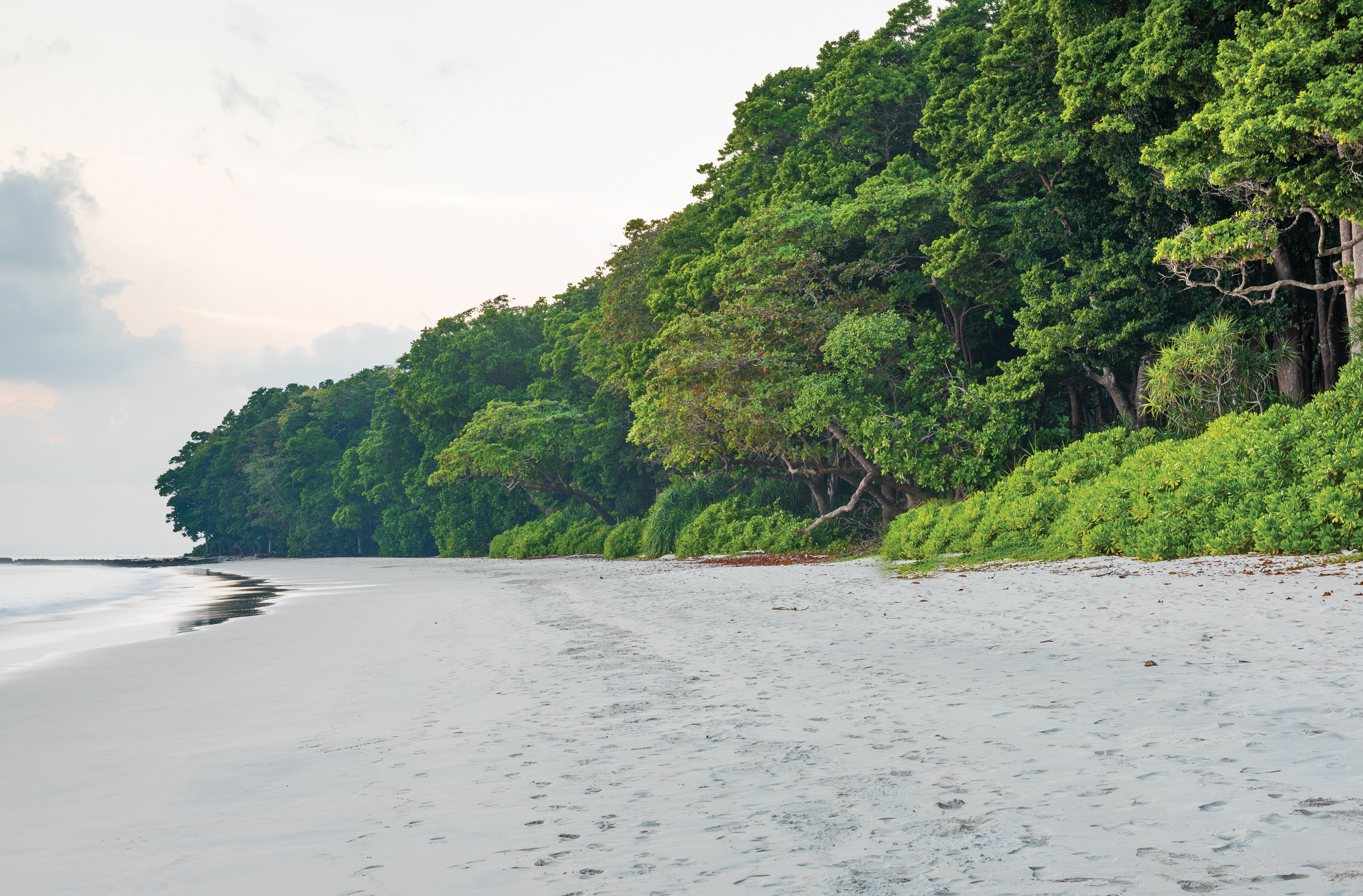 10 Havelock Island Tour Packages, Havelock Island Holiday Packages ...