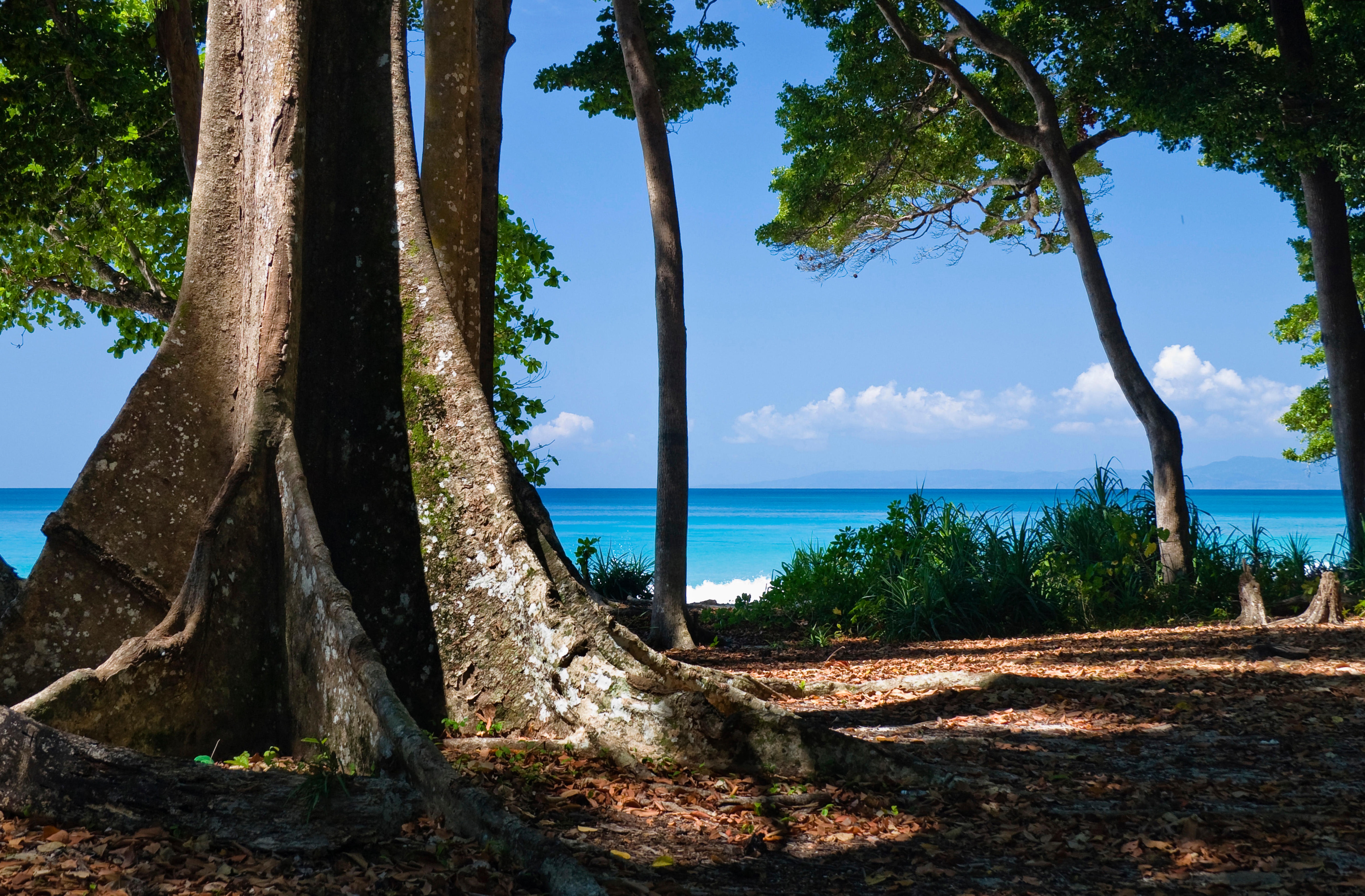 Places to Visit in Havelock Island - Most Famous Havelock Island Places ...