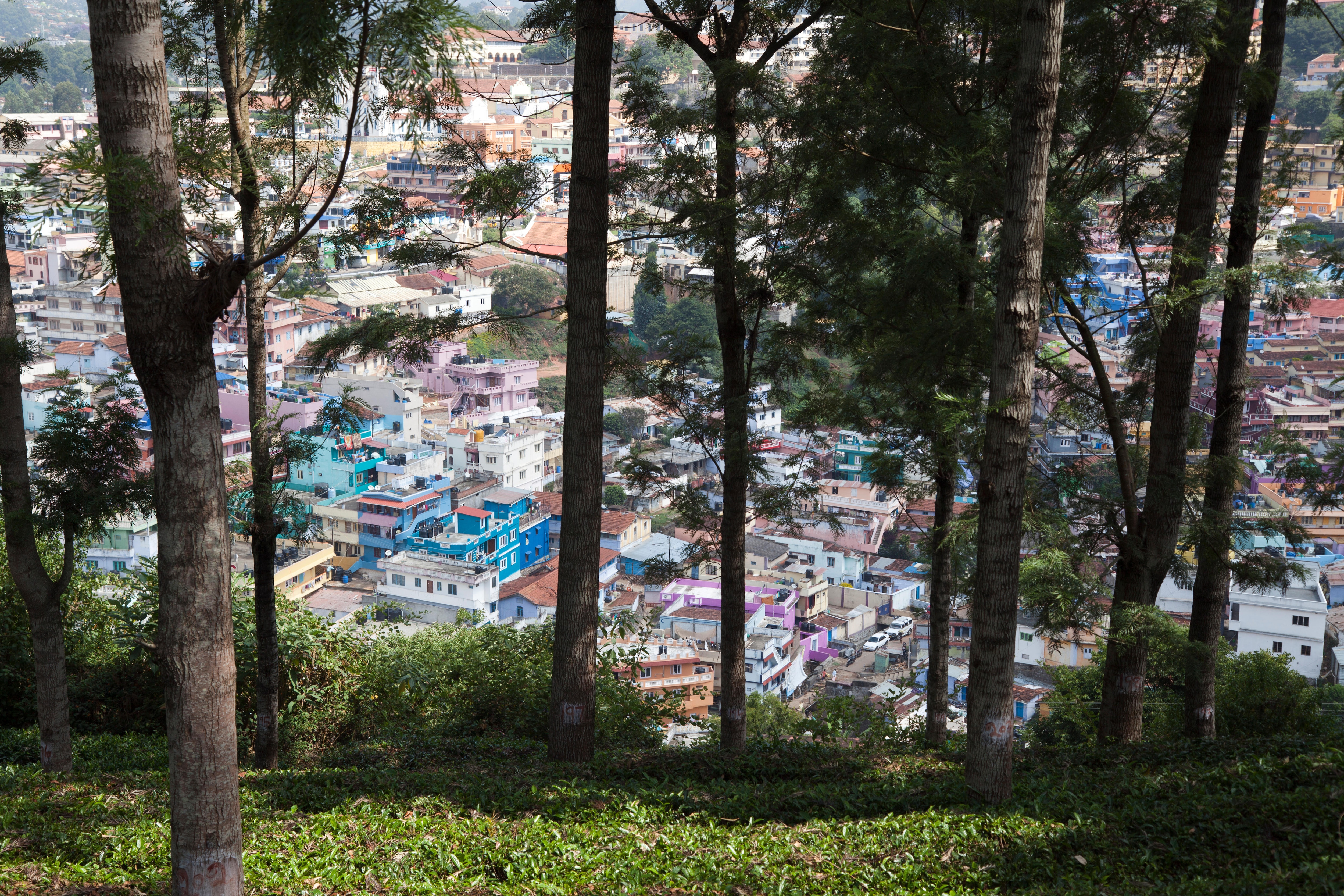 Coonoor, India - Coonoor Tourism | Coonoor Travel Guide - Yatra.com