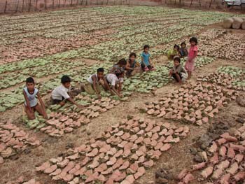 Harda, India - Harda Tourism | Harda Travel Guide - Yatra.com