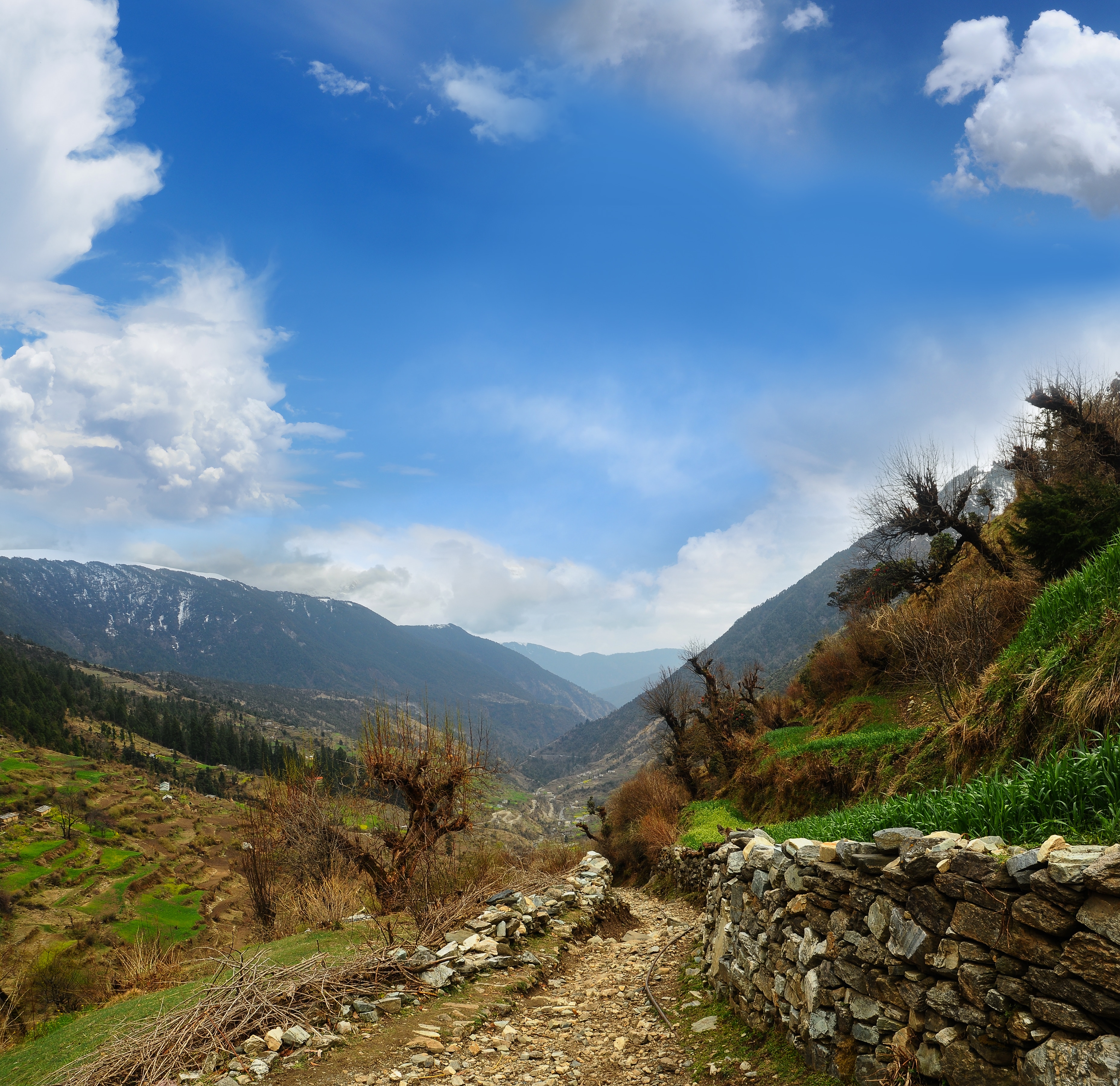 Kausani, India - Kausani Tourism | Kausani Travel Guide - Yatra.com