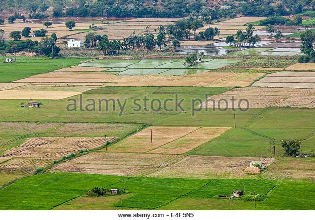 Erode, India - Erode Tourism | Erode Travel Guide - Yatra.com