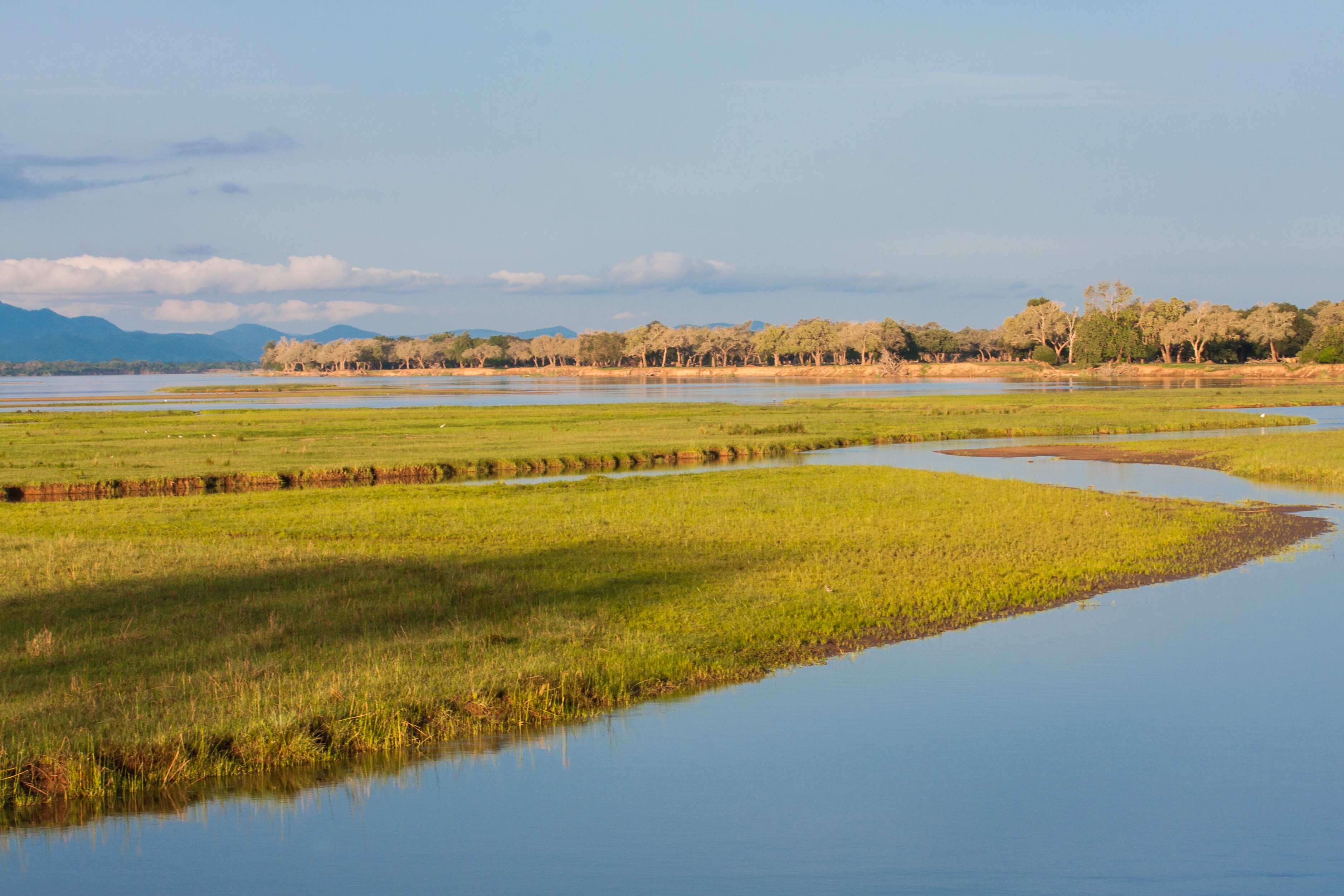 Manas River Bank - One of the Top Attractions in Manas, India - Yatra.com