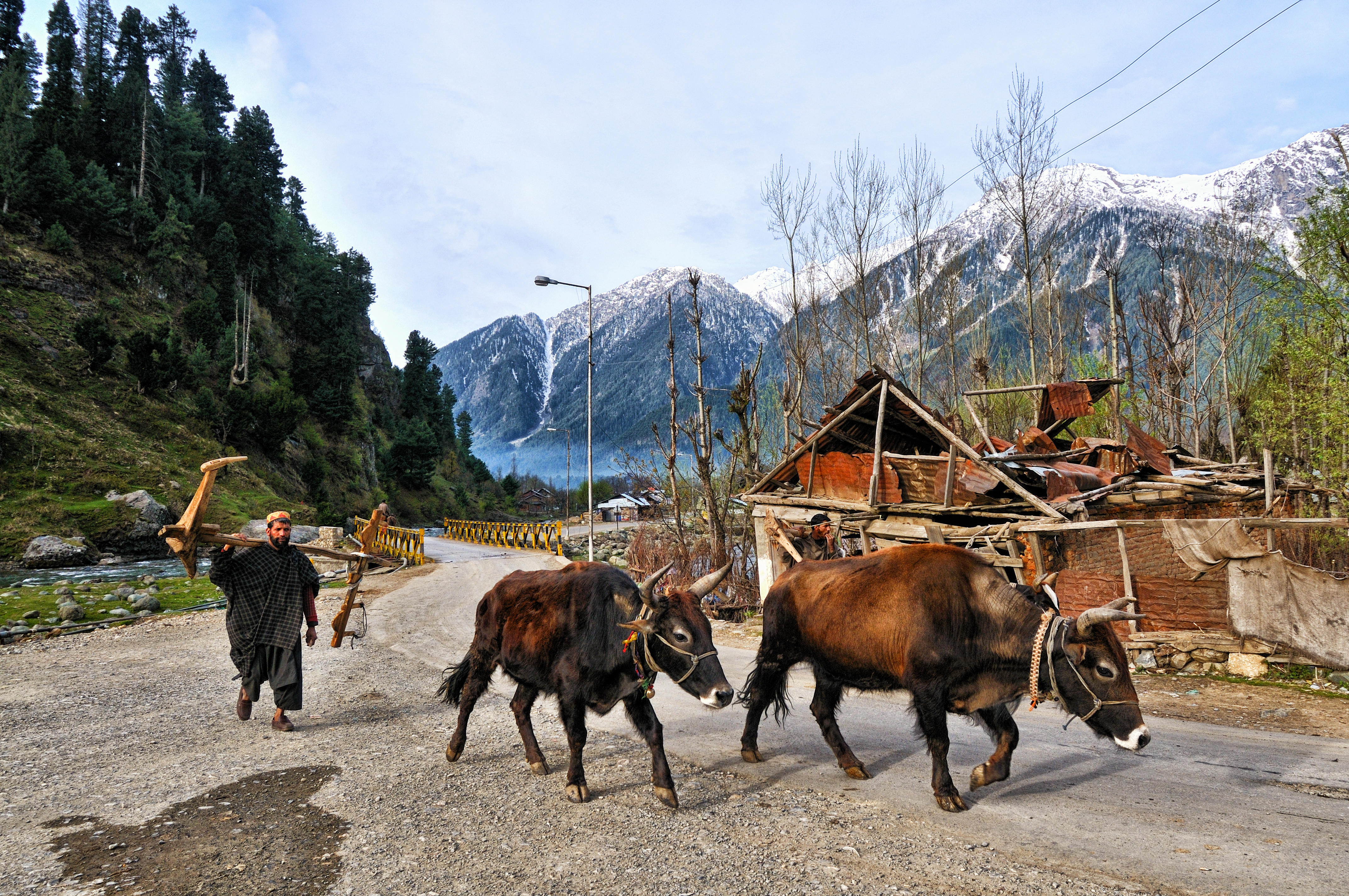 Betaab Valley - One of the Top Attractions in Pahalgam, India - Yatra.com