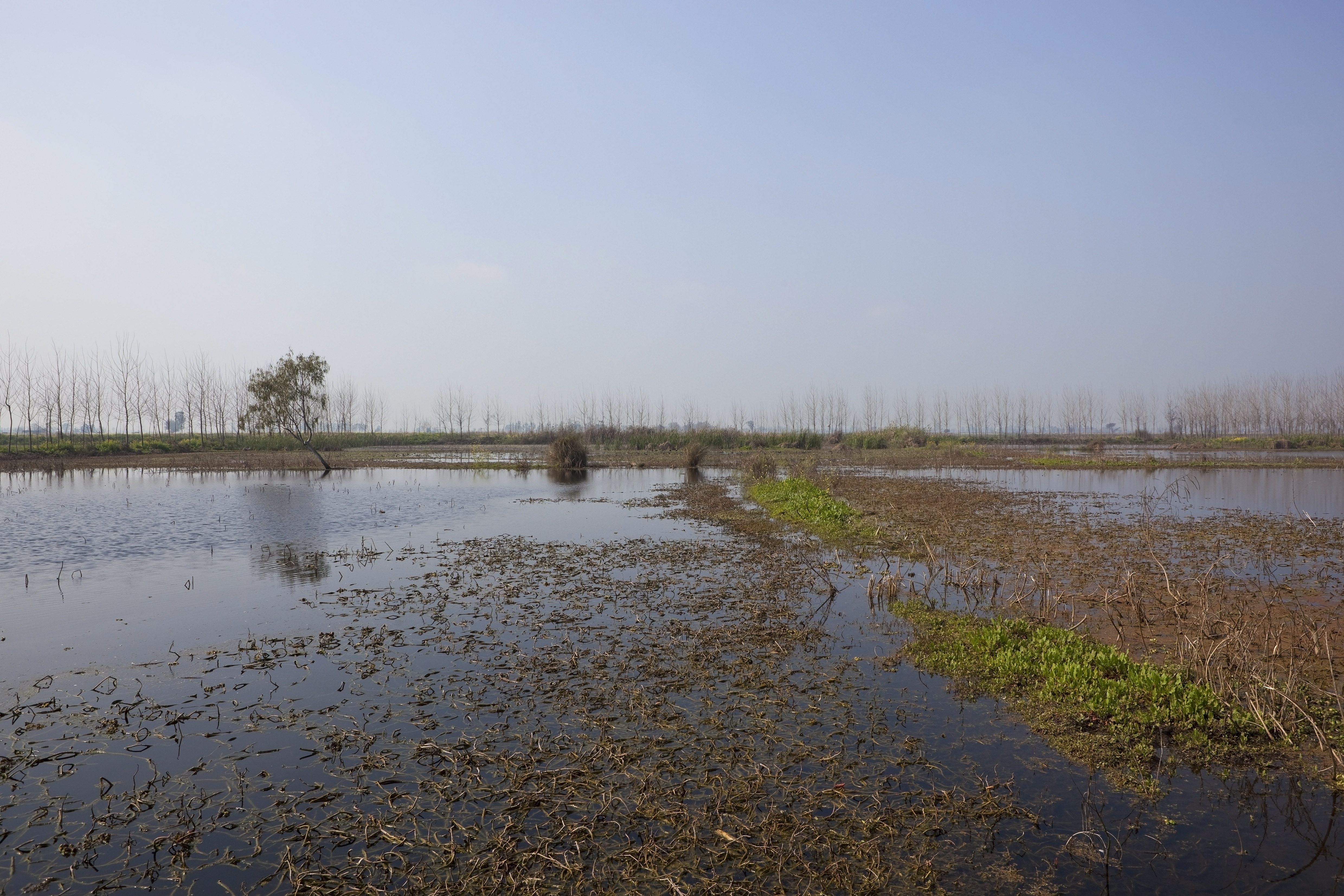 Gurdaspur, India - Gurdaspur Tourism | Gurdaspur Travel Guide - Yatra.com